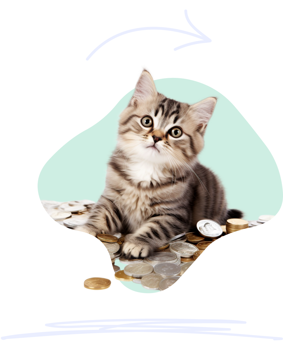 Cat Insurance | Pet Insurance Quotes